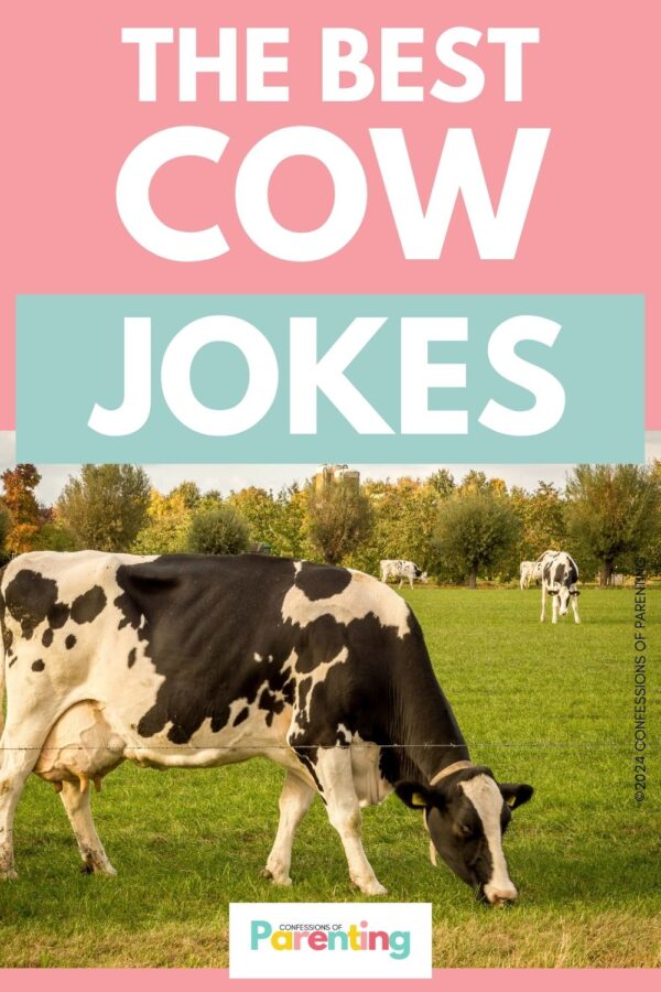 120 Best Cow Jokes for Kids That Are Udderly Hilarious