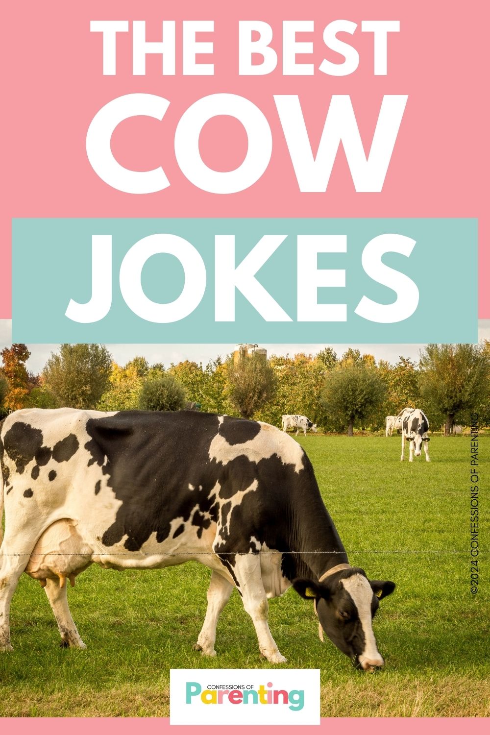 120 Best Cow Jokes for Kids That Are Udderly Hilarious