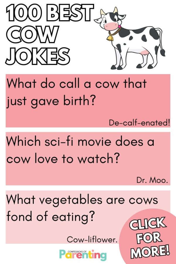 120 Best Cow Jokes for Kids That Are Udderly Hilarious