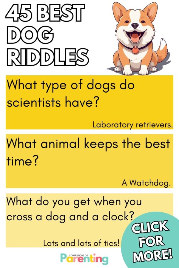 45 Paw-some Dog Riddles That Will Have YOu Wagging Your Tail