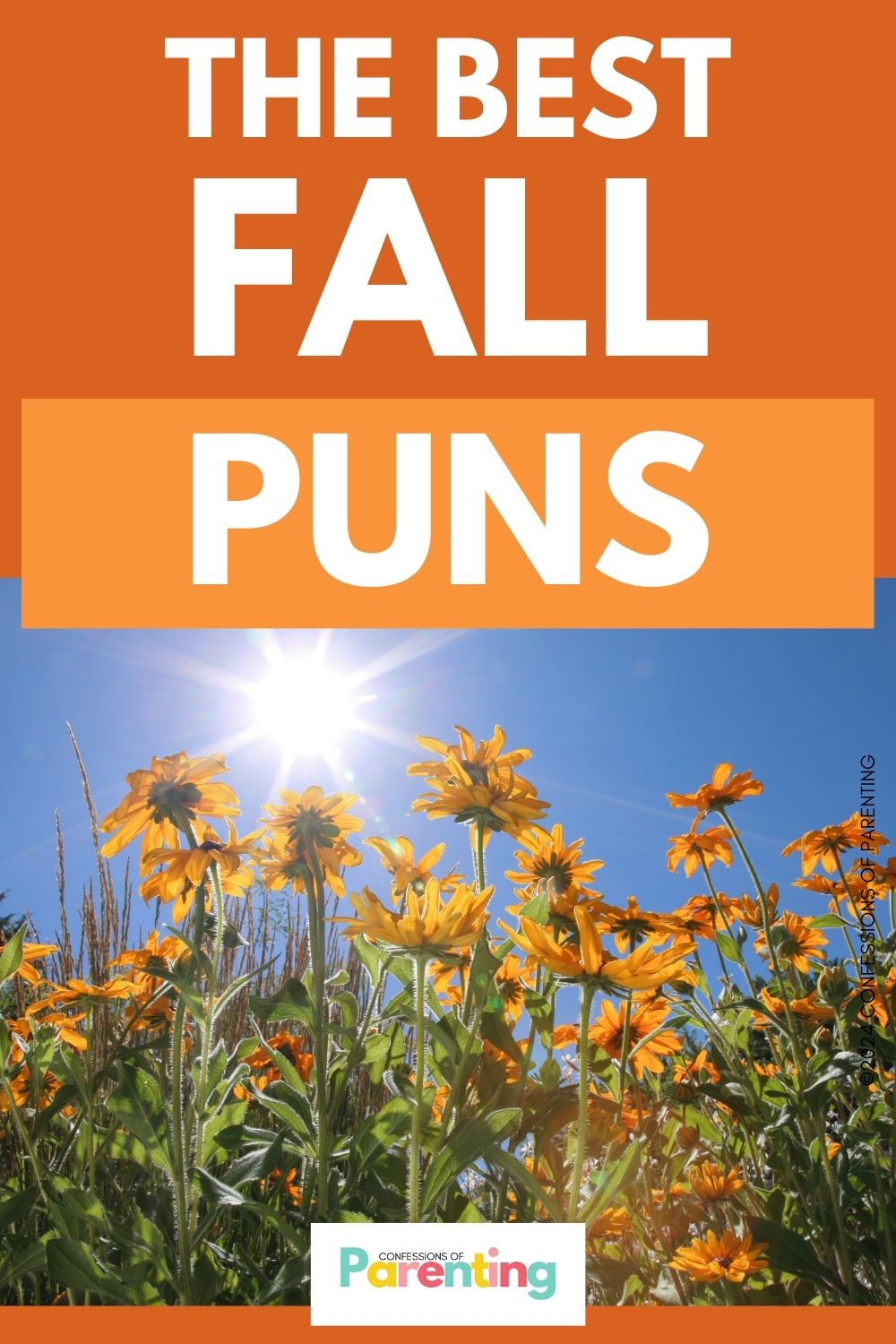 Best Fall Puns – 90+ Funny & Cute Autumn Puns