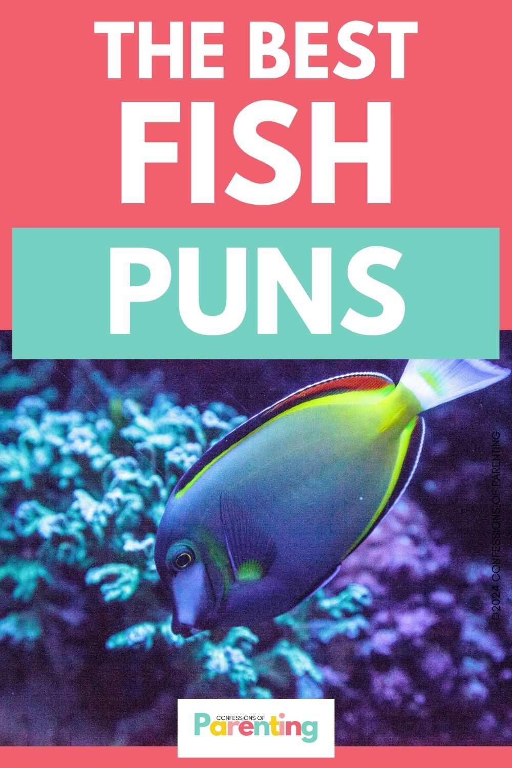 275 Funny Fish Puns That Are Gill-Tastic
