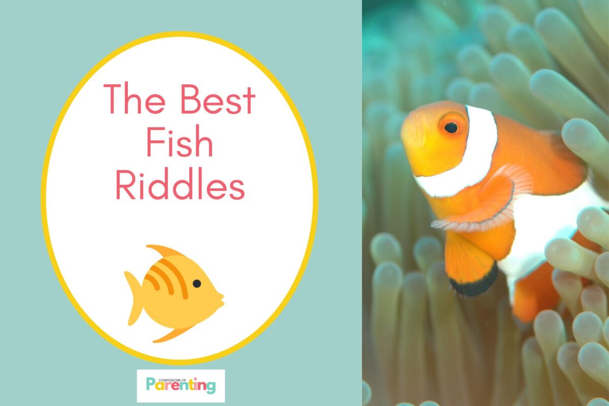 110 Best Fish Riddles That Will Reel You In [Free Riddle Cards]