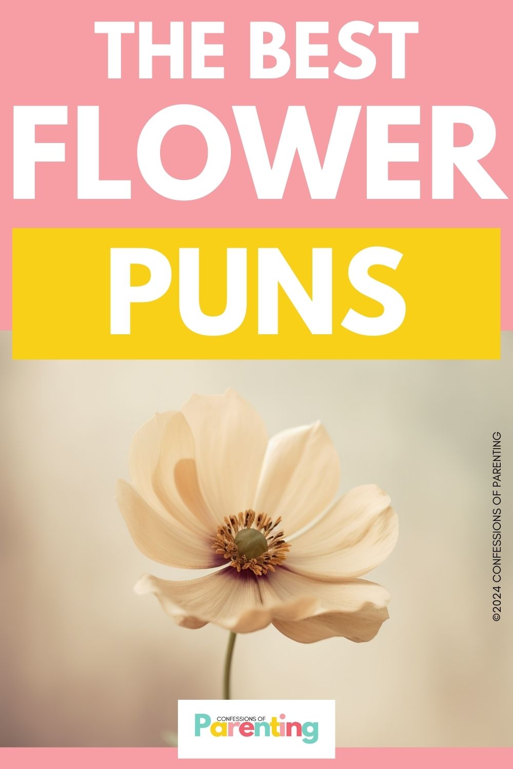 90+ Funny Flower Puns & Jokes for Kids (Clean & Cute)
