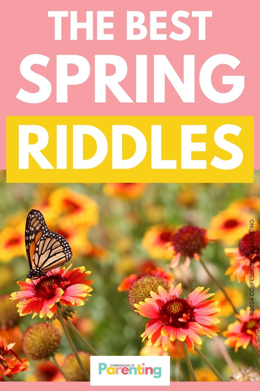 175 Fun and Challenging Spring Riddles [Free Riddle Cards]