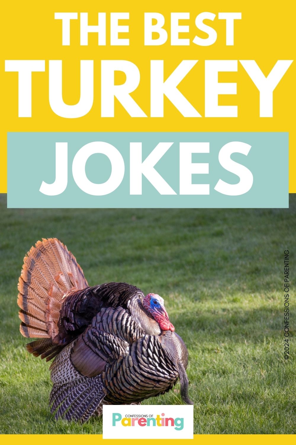 120 Best Turkey Jokes for Kids That Are Gobble-tastic