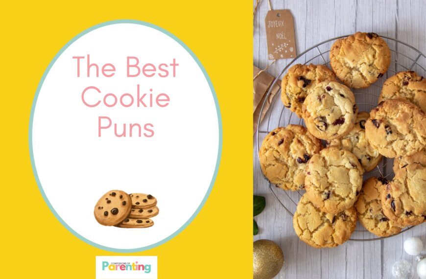 The Best Jokes, Puns, and Riddles