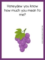 The Best Family-Friendly Fruit Puns
