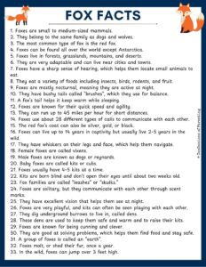 100 Great Fox Facts + Trivia Questions [Free Printable]