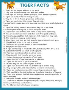 100 Great Tiger Facts + Trivia Questions [Free Printable]