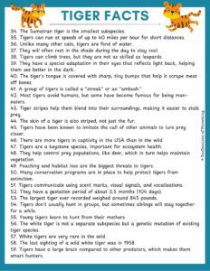 100 Great Tiger Facts + Trivia Questions [Free Printable]