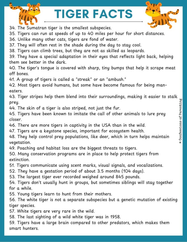 100 Great Tiger Facts + Trivia Questions [Free Printable]